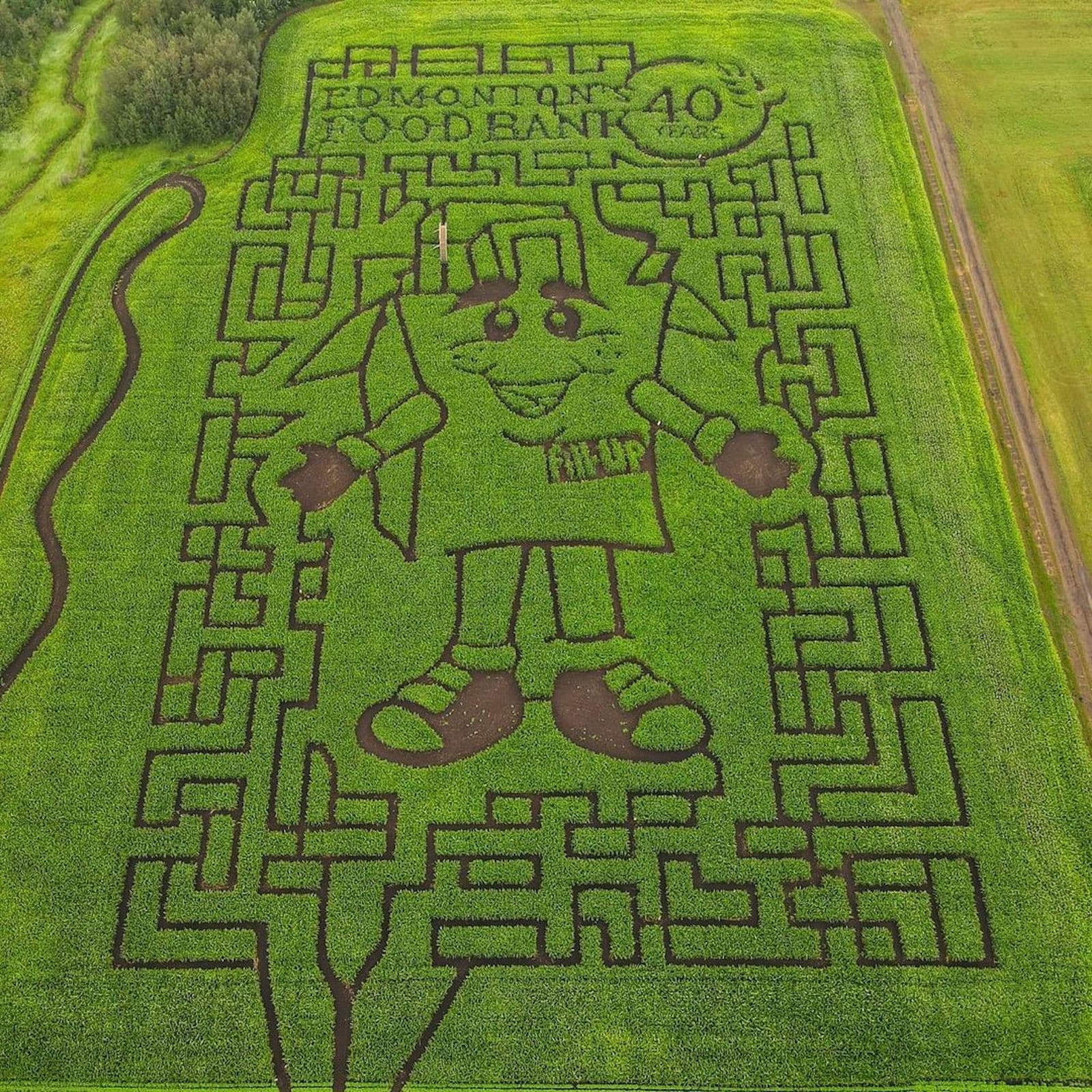 101 Fun Fall Activities for Kids and Families