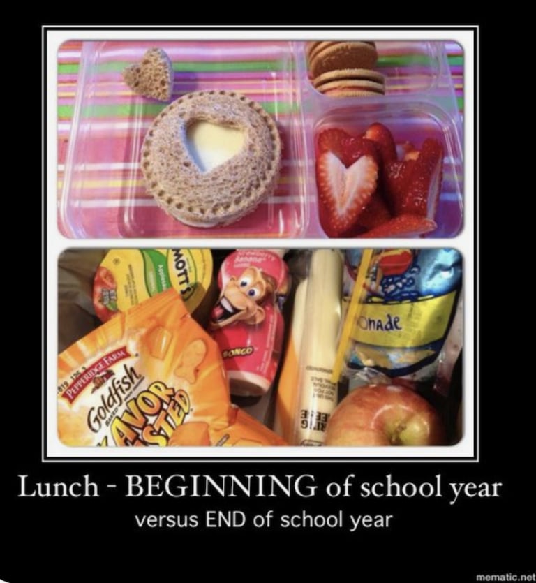 The Funniest End of School Year Memes
